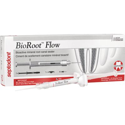 BIOROOT FLOW SYRINGE KIT 2GM